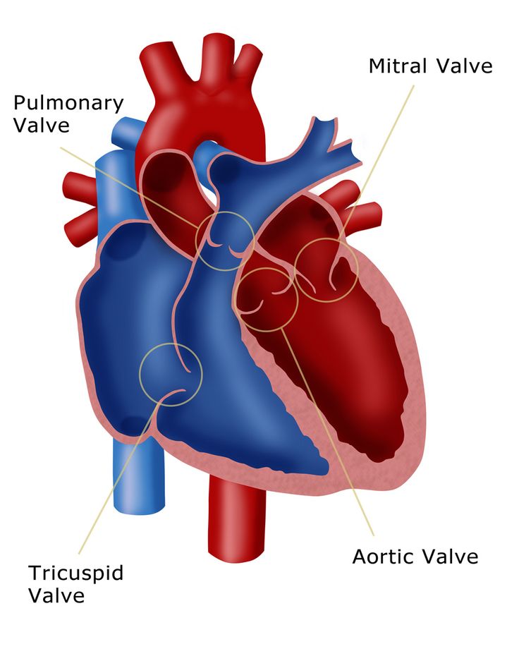 A-(BNS)-SEM62-C1852-P-20- | UCU eLearning Platform